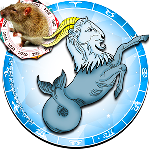 Capricorn Rat Horoscope, The Equitable Capricorn Rat Personality ...
