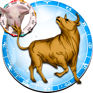 Taurus Pig Horoscope, The Convivial Taurus Pig Personality Character Traits