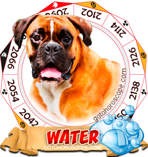 Water Dog Personality Horoscope based on Chinese Astrology Animal ...