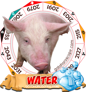 Water Pig Personality Horoscope based on Chinese Astrology Animal ...